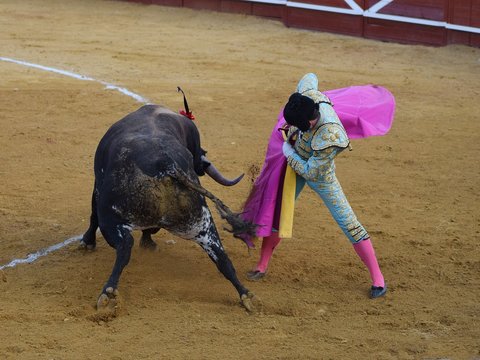 รูปภาพToreros – เลือกดูภาพถ่ายสต็อก เวกเตอร์ และวิดีโอ299 | Adobe Stock