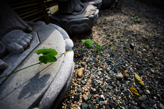 Profane Images – Browse 7,482 Stock Photos, Vectors, and Video | Adobe ...