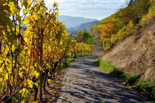 Sonderweg Bilder – Durchsuchen 267 Archivfotos, Vektorgrafiken und ...