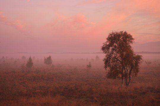 รูปภาพNebelig – เลือกดูภาพถ่ายสต็อก เวกเตอร์ และวิดีโอ14,118 | Adobe Stock