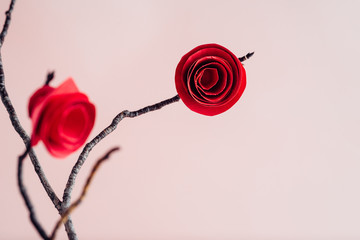 10+ Free Red Rose Tree Images - PikWizard