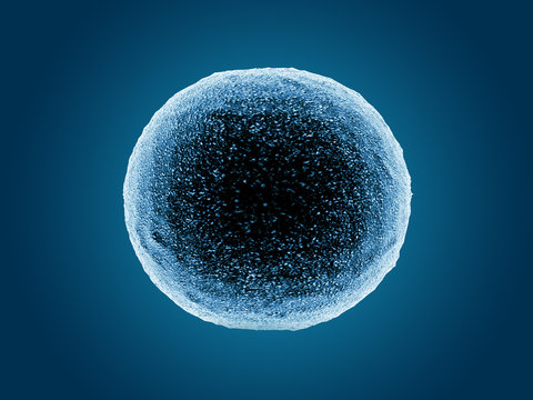 Kokken Images – Browse 52 Stock Photos, Vectors, and Video | Adobe Stock