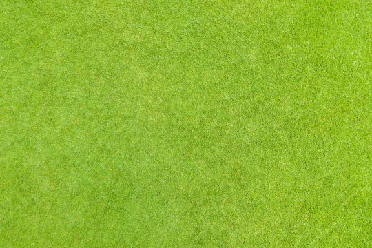 Fifa Grass Texture