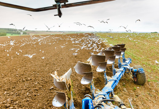 รูปภาพFestin – เลือกดูภาพถ่ายสต็อก เวกเตอร์ และวิดีโอ1,802 | Adobe Stock