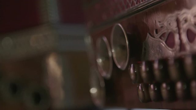 「Acordian」の写真素材 | 359件の無料イラスト画像 | Adobe Stock