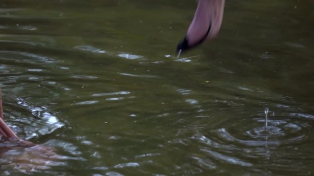 Greter Images – Browse 11 Stock Photos, Vectors, and Video | Adobe Stock