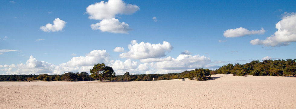 Soesterduinen bilder – Bläddra bland 376 stockfoton, vektorer och ...