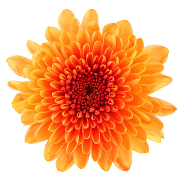 Olaf Simon photos, images, assets | Adobe Stock