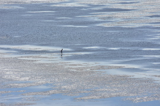 "Flat Coast"-Bilder: Stock-Fotos & -Videos. | Adobe Stock