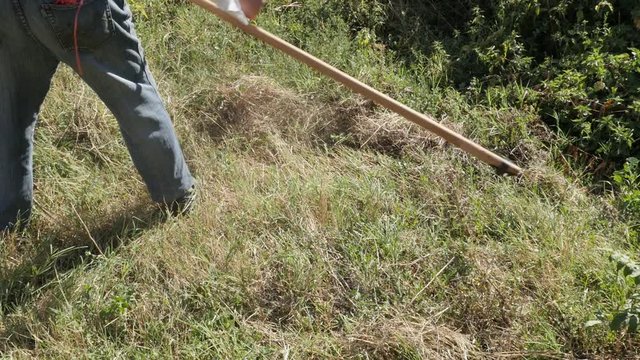 Grass Scythe Cutting Demonstration