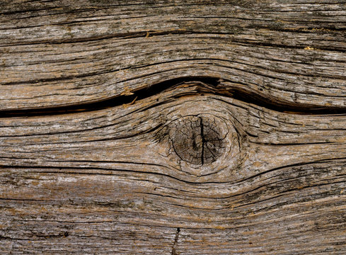 Imágenes de Knag: descubre bancos de fotos, ilustraciones, vectores y ...