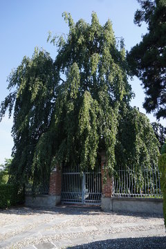 Pendulo bilder – Bläddra bland 107 stockfoton, vektorer och videor ...