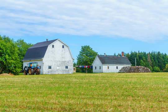 Freeland Images – Browse 82 Stock Photos, Vectors, and Video | Adobe Stock