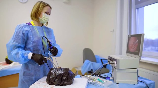 Coroner Images – Browse 2,057 Stock Photos, Vectors, and Video | Adobe ...