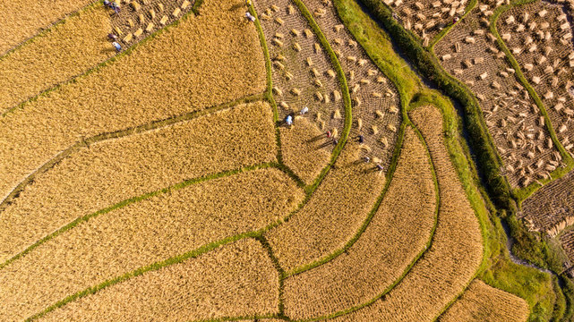 Padaung Bilder – Durchsuchen 509 Archivfotos, Vektorgrafiken und Videos ...