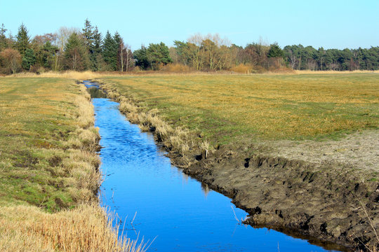 Marschland bilder – Bläddra bland 678 stockfoton, vektorer och videor ...