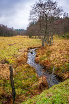 Imagens de Serpenter – Explore Fotografias do Stock, Vetores e Vídeos ...