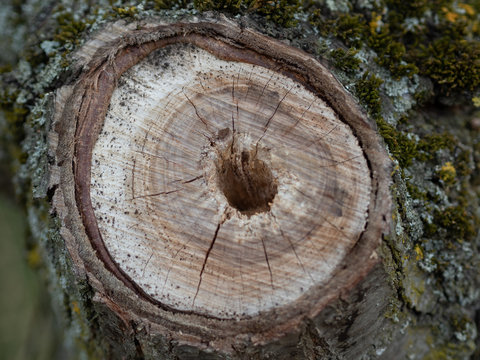 Astloch Imagens – Procure 3,611 fotos, vetores e vídeos | Adobe Stock