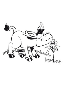 Muli Images – Parcourir 1,060 le catalogue de photos, vecteurs et ...