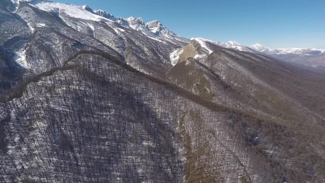 รูปภาพDarial – เลือกดูภาพถ่ายสต็อก เวกเตอร์ และวิดีโอ253 | Adobe Stock