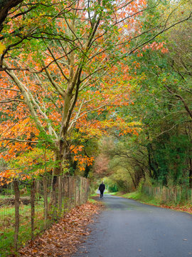 รูปภาพAuttum – เลือกดูภาพถ่ายสต็อก เวกเตอร์ และวิดีโอ151 | Adobe Stock