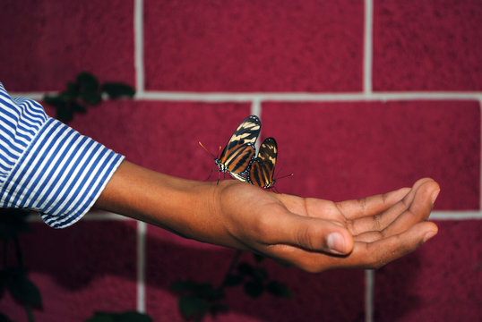 Amigable Images – Browse 710 Stock Photos, Vectors, and Video | Adobe Stock