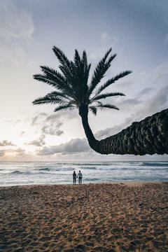 Phil Nguyen photos, images, assets | Adobe Stock