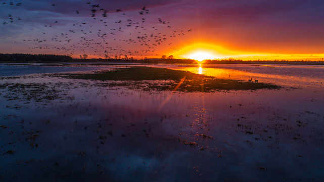 Potop Bilder – Durchsuchen 239 Archivfotos, Vektorgrafiken und Videos ...