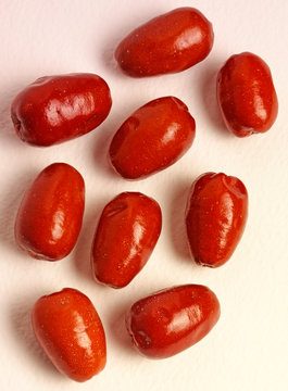 35 BEST Senjed IMAGES, STOCK PHOTOS & VECTORS | Adobe Stock