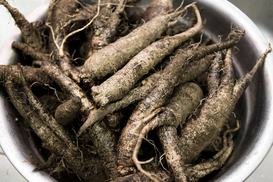 더덕 Images – Browse 258 Stock Photos, Vectors, and Video | Adobe Stock