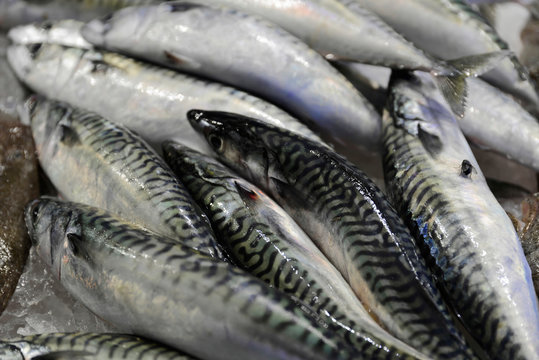 รูปภาพAnchovis – เลือกดูภาพถ่ายสต็อก เวกเตอร์ และวิดีโอ415 | Adobe Stock