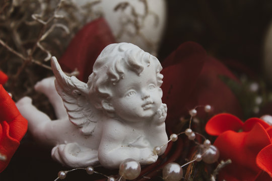 Amorini Images – Browse 45 Stock Photos, Vectors, and Video | Adobe Stock