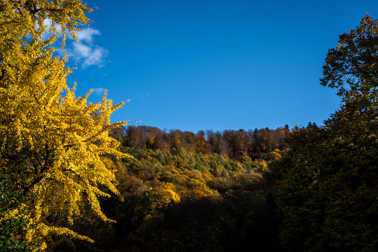 「Zeitenwechsel」の写真素材 | 21件の無料イラスト画像 | Adobe Stock 「Zeitenwechsel」の写真素材 | 21件の無料イラスト画像 | Adobe Stock