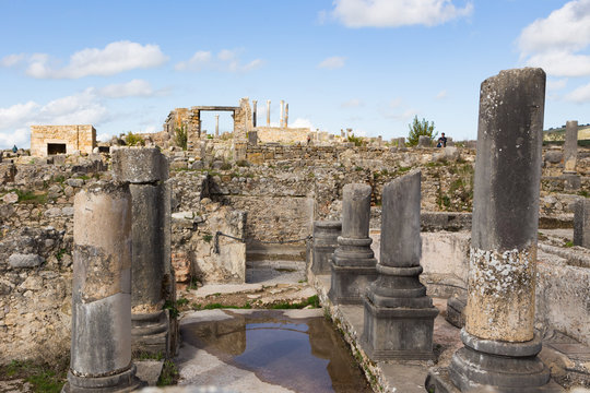 Walili : photos, illustrations, vecteurs et vidéos libres de droits ...