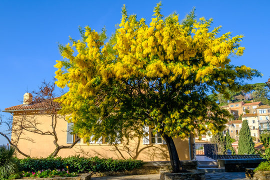 81,664 BESTE Southerner BILDER, STOCK-FOTOS & -VEKTORGRAFIKEN | Adobe Stock