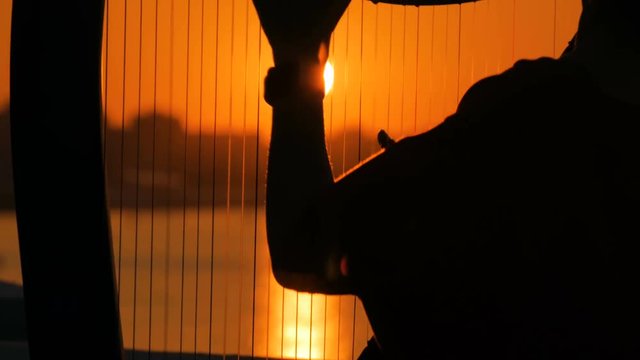 Harp Video Footage – Browse 1,748 HD Stock Video and Footage | Adobe Stock