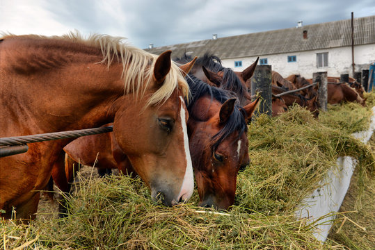 DIE 39,036 BESTEN BILDER, STOCK-FOTOS UND -VEKTORGRAFIKEN ZU ...