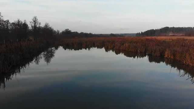 Vass Images – Browse 259 Stock Photos, Vectors, and Video | Adobe Stock