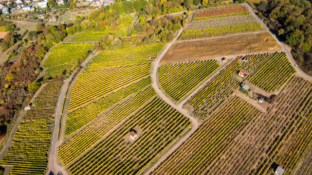 「Fghfgh」の写真素材 | 3件の無料イラスト画像 | Adobe Stock