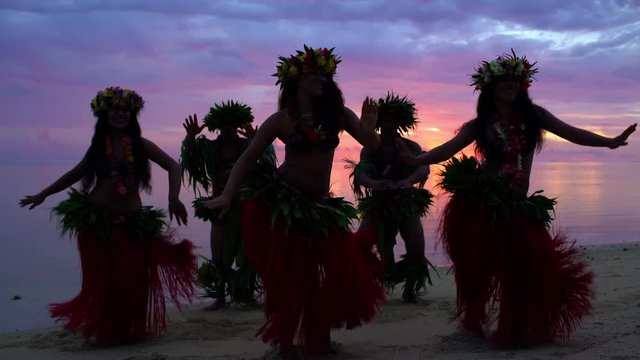 Hula Images – Browse 22,782 Stock Photos, Vectors, and Video | Adobe Stock