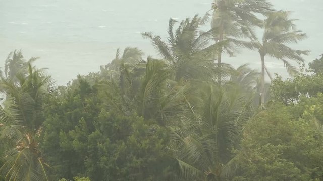 Typhoon Video Footage – Browse 12,119 HD Stock Video and Footage ...