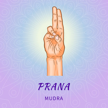 Prana-Mudra Images – Browse 28 Stock Photos, Vectors, and Video | Adobe Stock