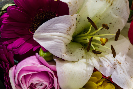 Bokay Images – Browse 34 Stock Photos, Vectors, and Video | Adobe Stock