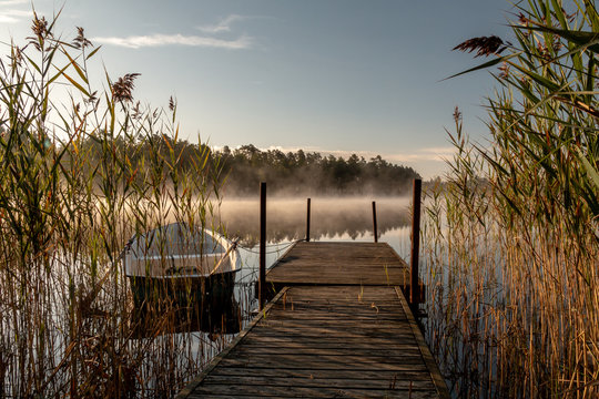 รูปภาพ"Steg – เลือกดูภาพถ่ายสต็อก เวกเตอร์ และวิดีโอ64,634 | Adobe Stock