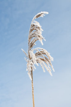 Aleine Bilder – Durchsuchen 111 Archivfotos, Vektorgrafiken und Videos ...