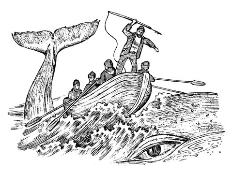 Whaling Harpoon Drawing
