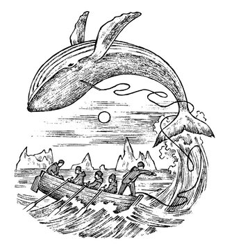 Whaling Harpoon Drawing