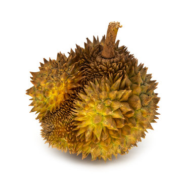 รูปภาพStinkfrucht – เลือกดูภาพถ่ายสต็อก เวกเตอร์ และวิดีโอ119 | Adobe Stock