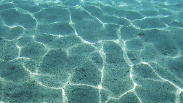 "Bottom Of The Sea" Images – Browse 558 Stock Photos, Vectors, and ...