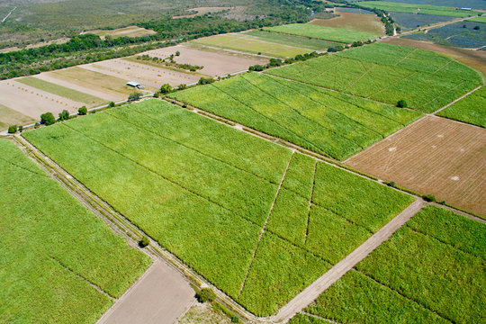 "Campos De Cultivo" Images – Browse 495 Stock Photos, Vectors, and ...